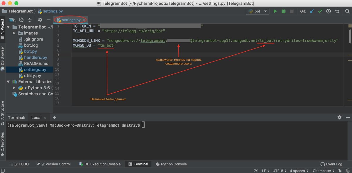 14. Обучим Telegram бота работать с базой данных MongoDB. | Django | Python | Дзен