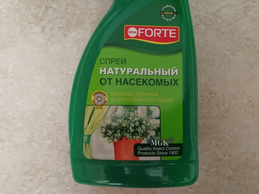 Купили новую орхидею. Что с ней делать | Мои орхидеи | Дзен