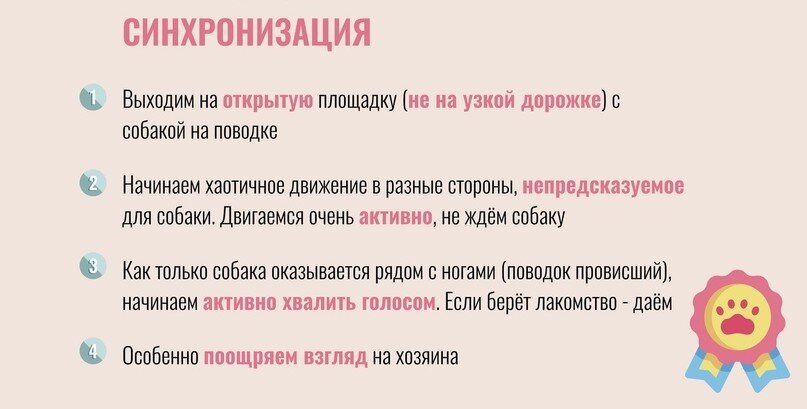 Как отучить собаку тянуть поводок. Проверенные пошаговые методики ...