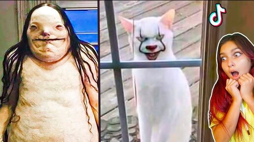 СТРАШНЫЕ КОТЫ В ШКОЛЕ СНИМАЮТ ТИКТОК 🙀 НЕ ЗАСМЕЙСЯ ЧЕЛЛЕНДЖ Смешные