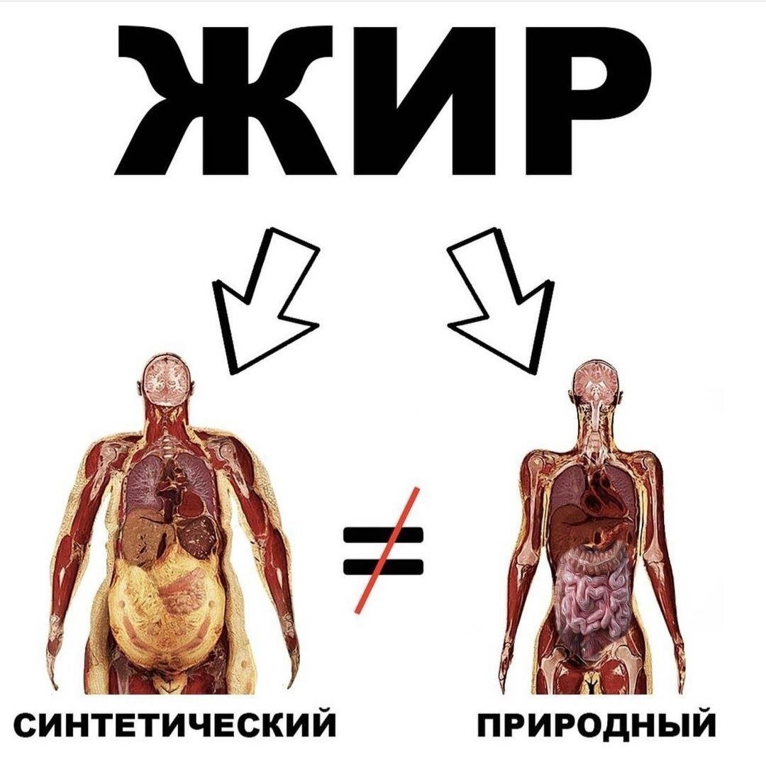 Жир | Пищевая Алхимия | Дзен