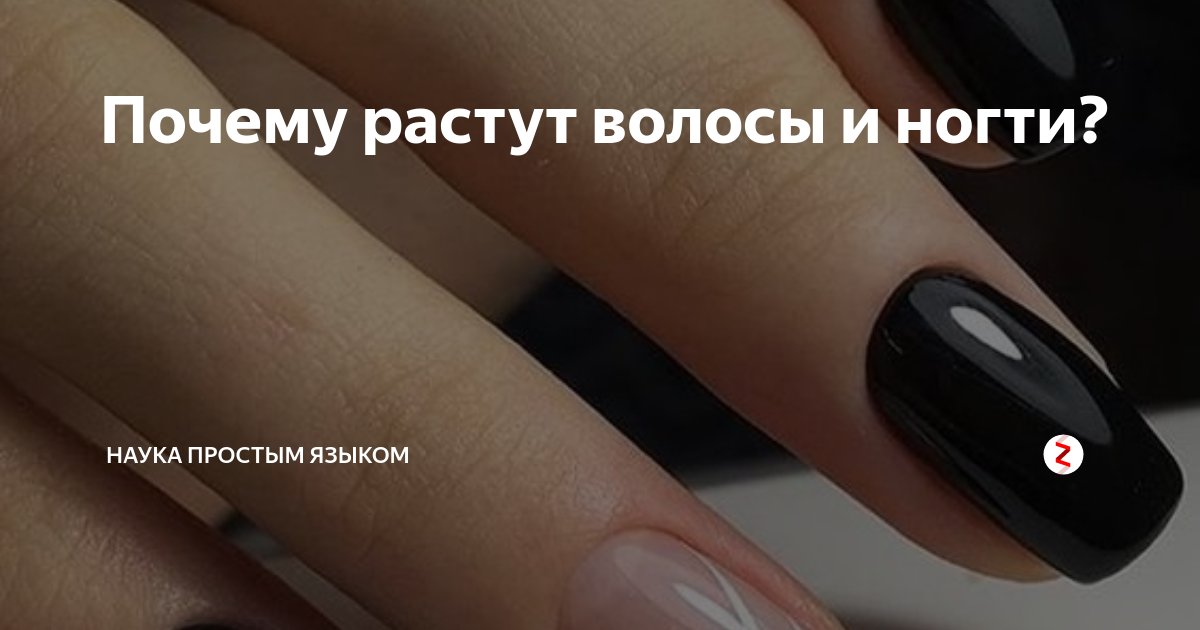Почему растут волосы и ногти Наука простым языком Дзен