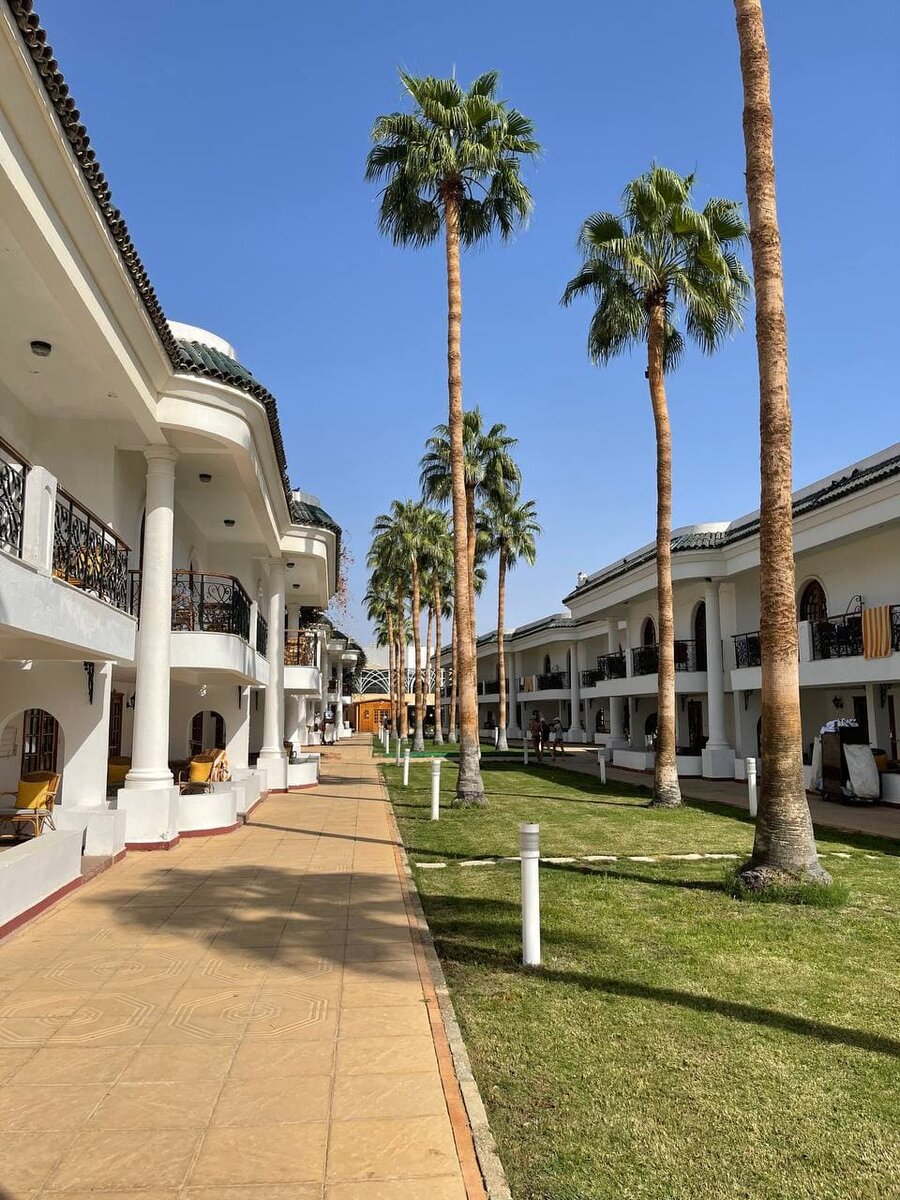 Шарм-эль-Шейх: обновлённый отель Seti Sharm 4* - идеальный песчаный ...