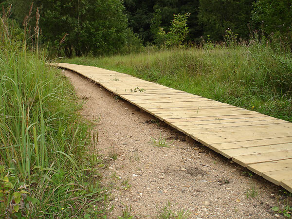 Деревянные садовые дорожки, которые прослужат дольше бетонных | D ...