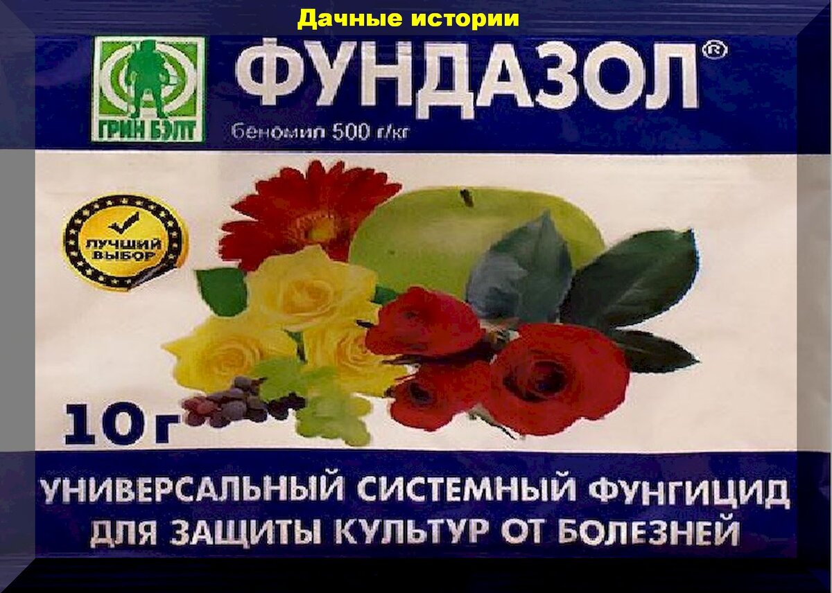 Советы как не допустить корневые гнили у огурцов. Реально работающие ...
