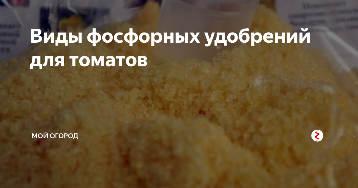 Виды фосфорных удобрений для томатов | Мой огород | Дзен