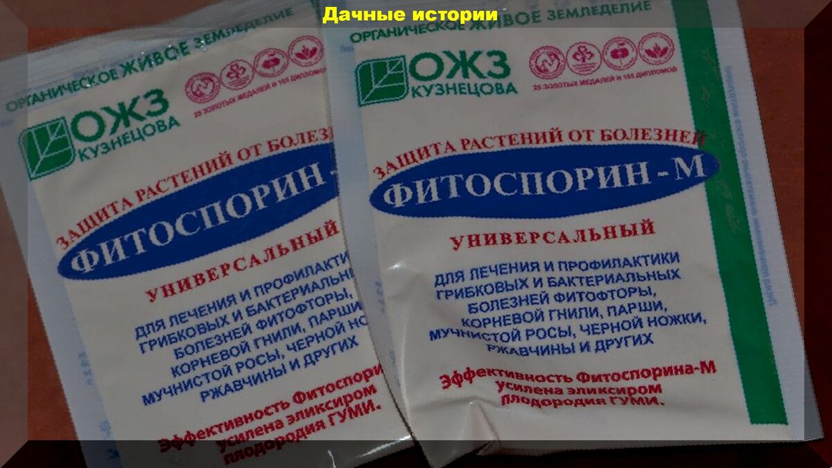 Советы как не допустить корневые гнили у огурцов. Реально работающие ...