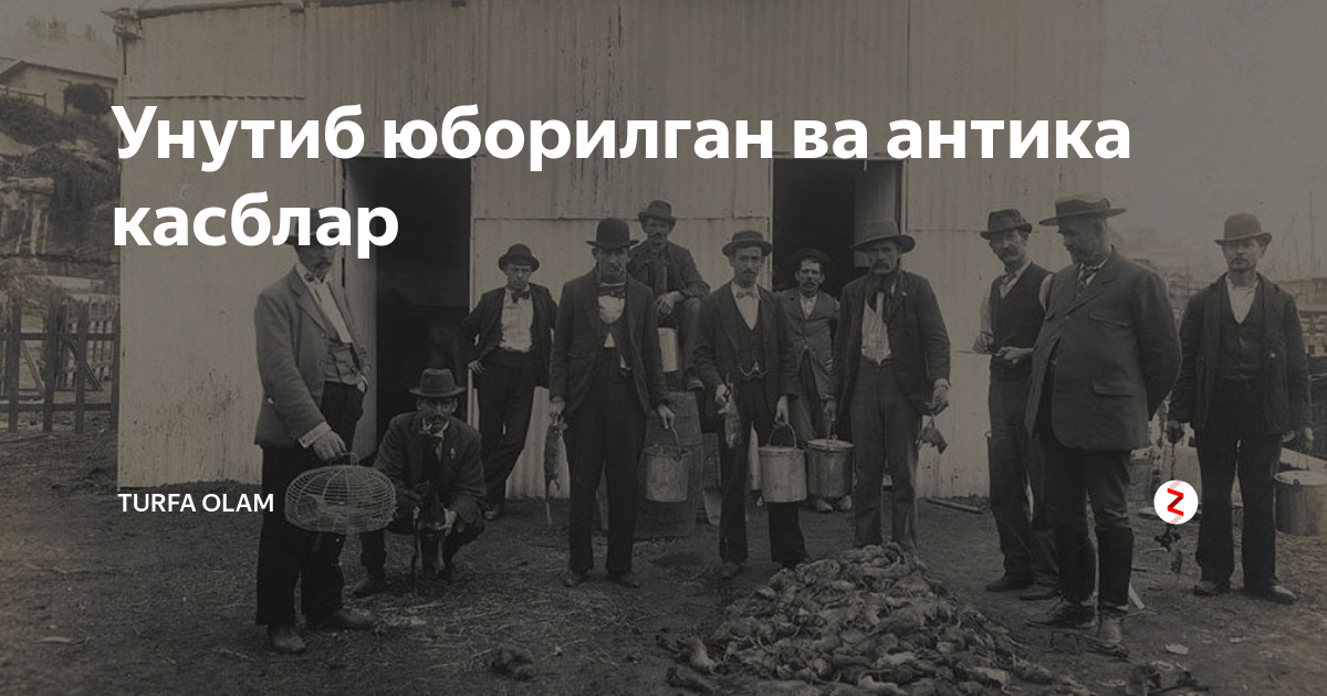 Унутиб юборилган ва антика касблар | TURFA OLAM | Дзен