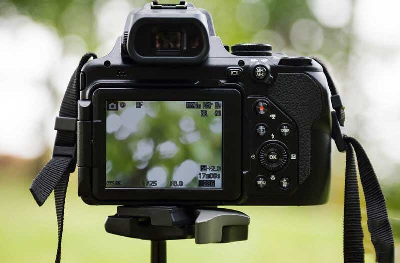 Обзор Nikon Coolpix P1000: камера с 125-кратным оптическим зумом ...