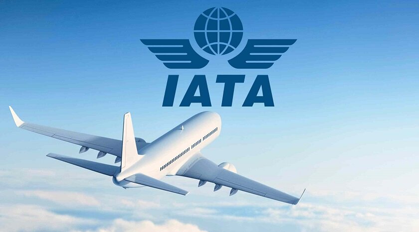 Интерактивная карта IATA с правилами въезда туристов | Bodrums | Дзен