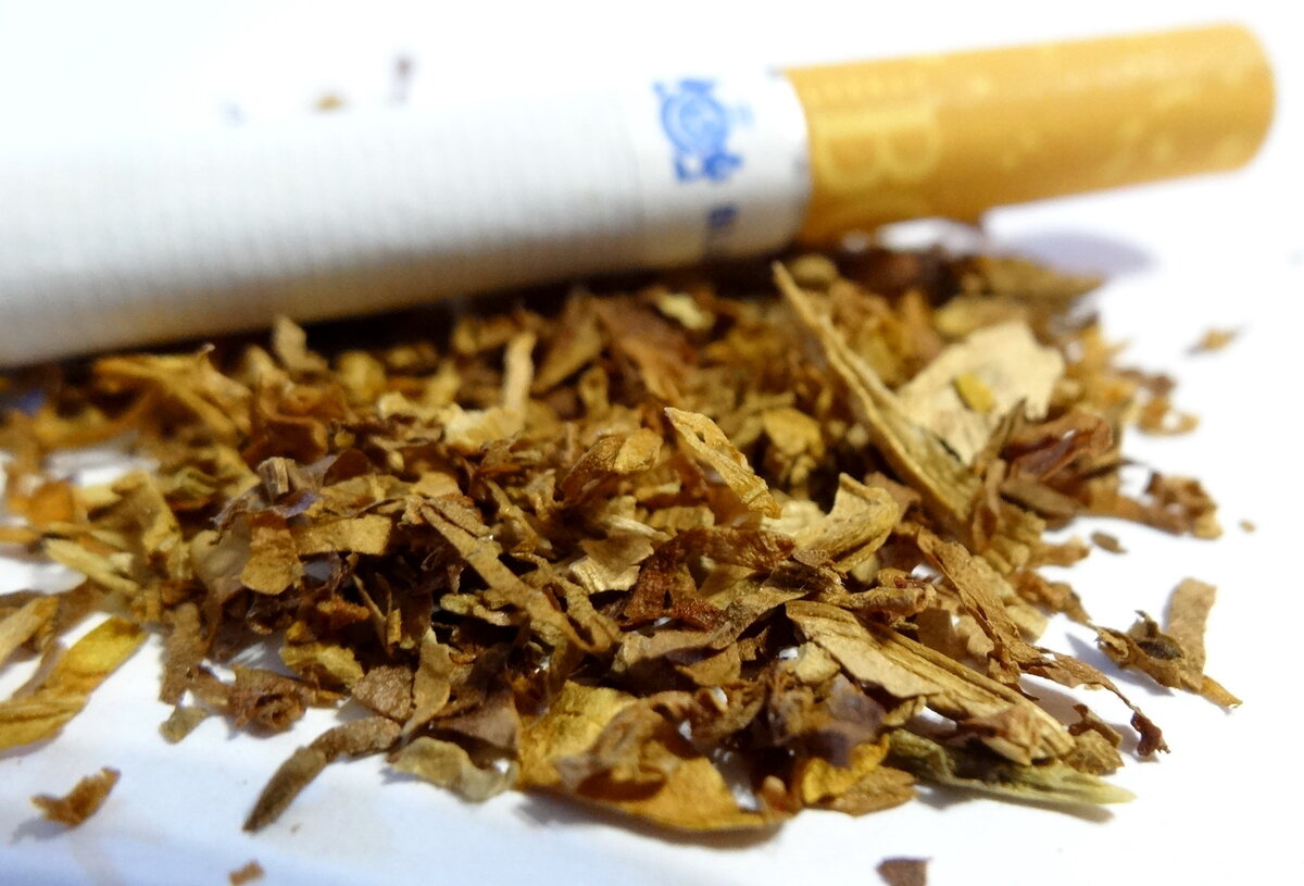 Дегустация сигарет Bond Street. | Уголок курильщика | Дзен