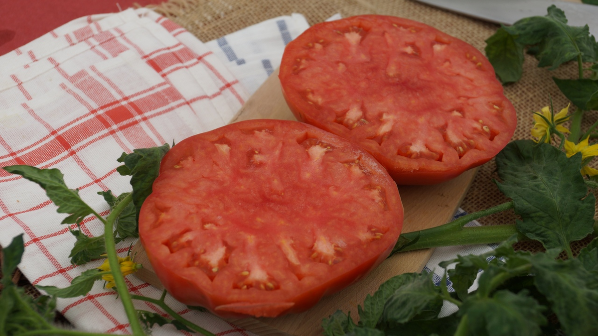 Мясистый. Сочный. Урожайный. Томат Бийская роза | Семена Алтая. Дачные ...