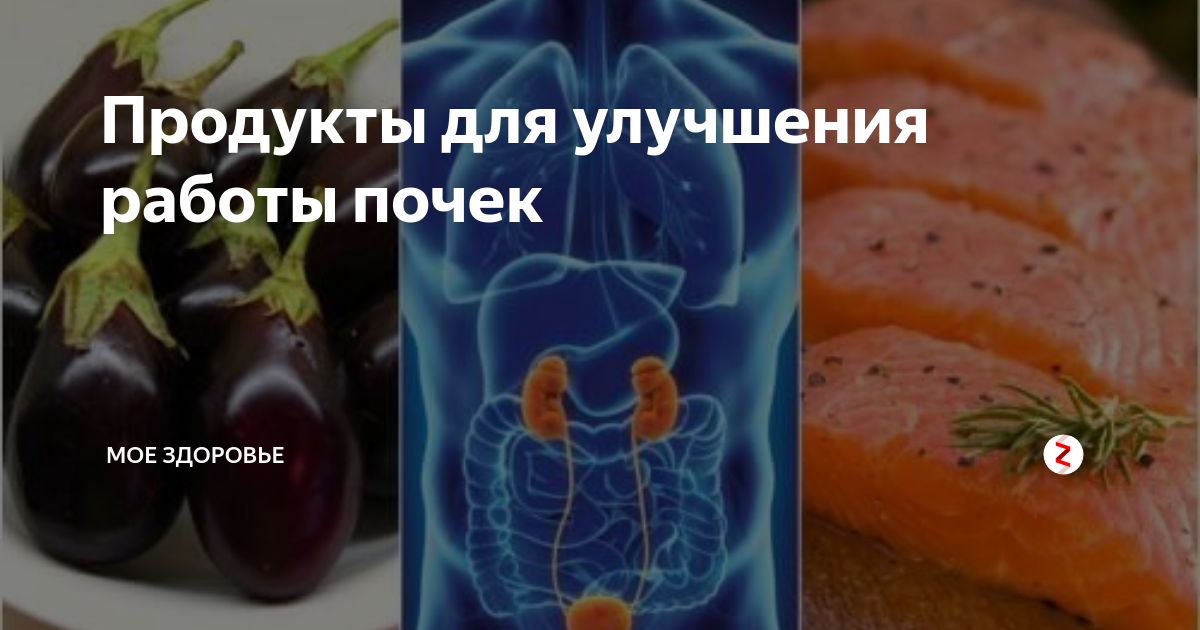 Продукты для улучшения работы почек Мое здоровье Дзен