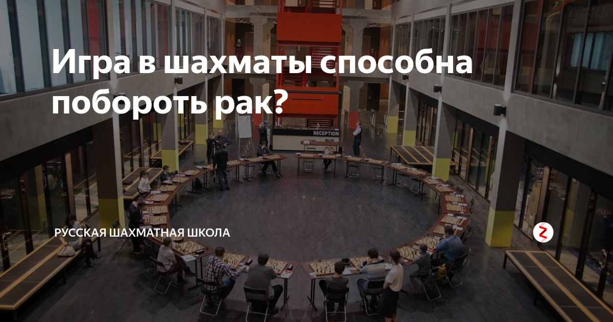 Игра в шахматы способна побороть рак Русская шахматная школа Дзен