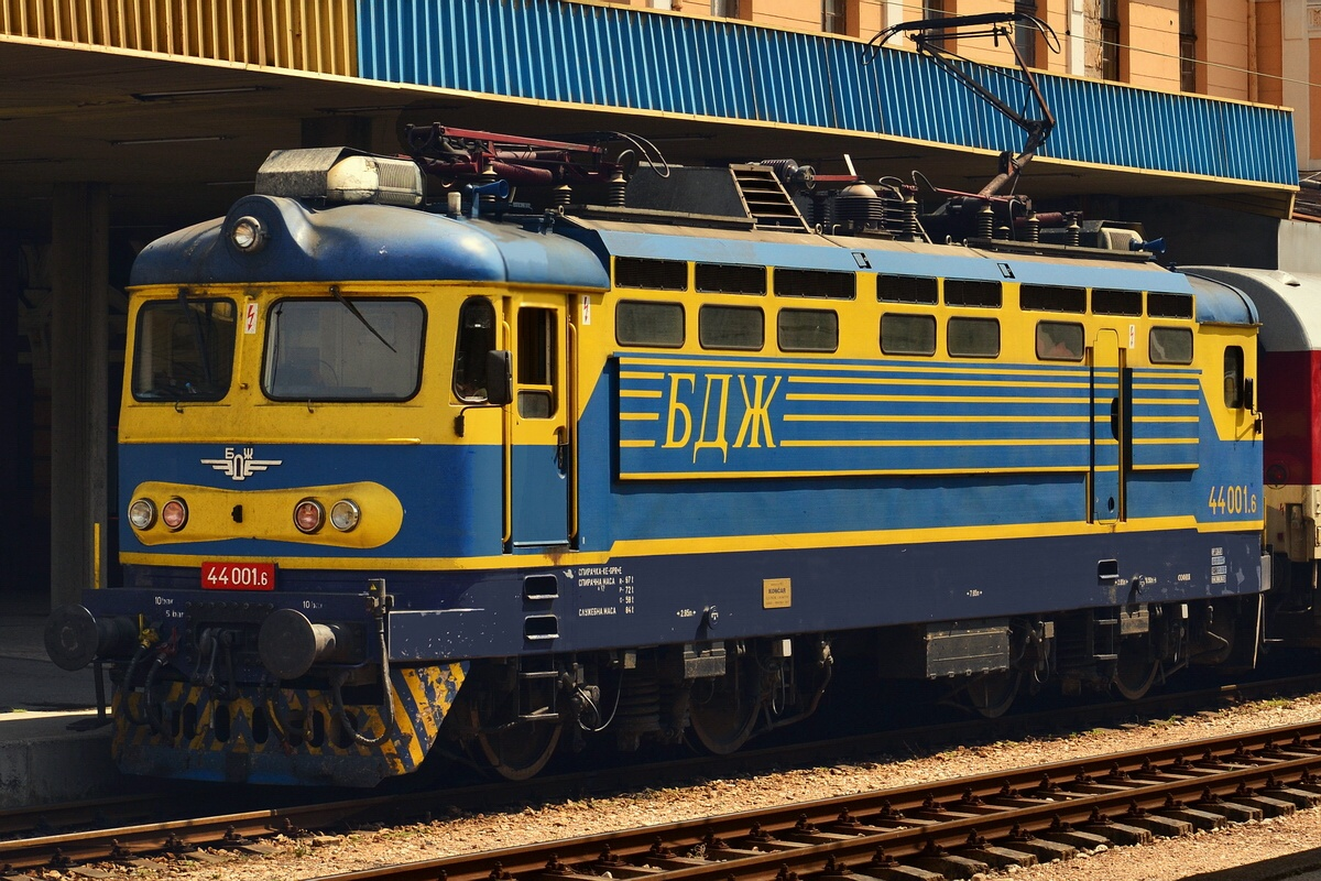 Болгарские "братья" российских "чебурашек" | ПАНТОГРАФ | Дзен