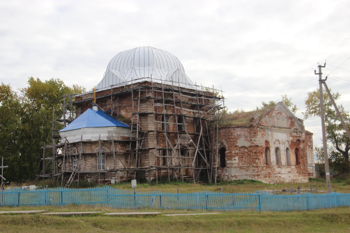 Что можно увидеть, прогуливаясь по деревне. Собрал самые интересные фото | STAFEEV BLOG | Дзен