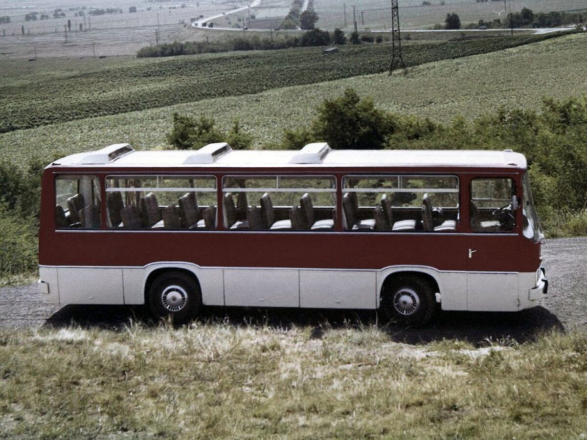 Икарусы семейства 200. Часть 1 (208 - 247) | НПАП №1 Икарус | Дзен