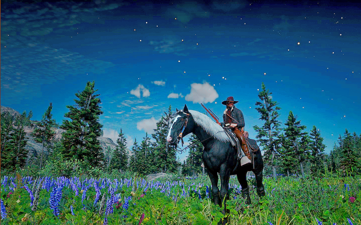 3 тайны на севере Большой Долины в Red Dead Redemption 2 | RDR2 ...