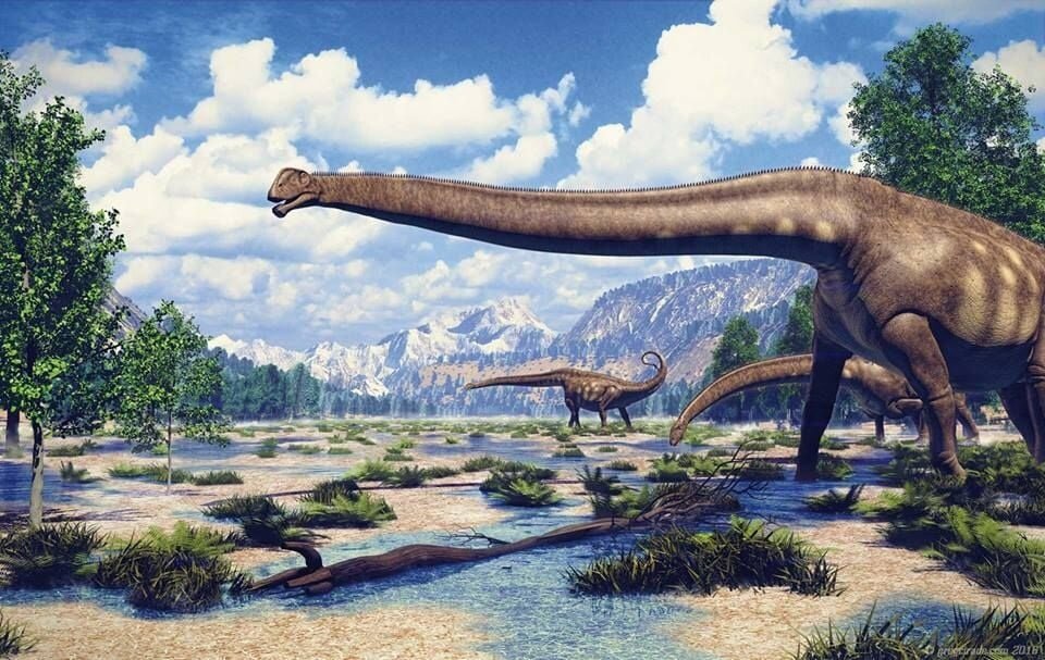 Маменчизавр или мамэньсизавр (Mamenchisaurus) – любитель рекордов. | Paleo-end-arthropods ...
