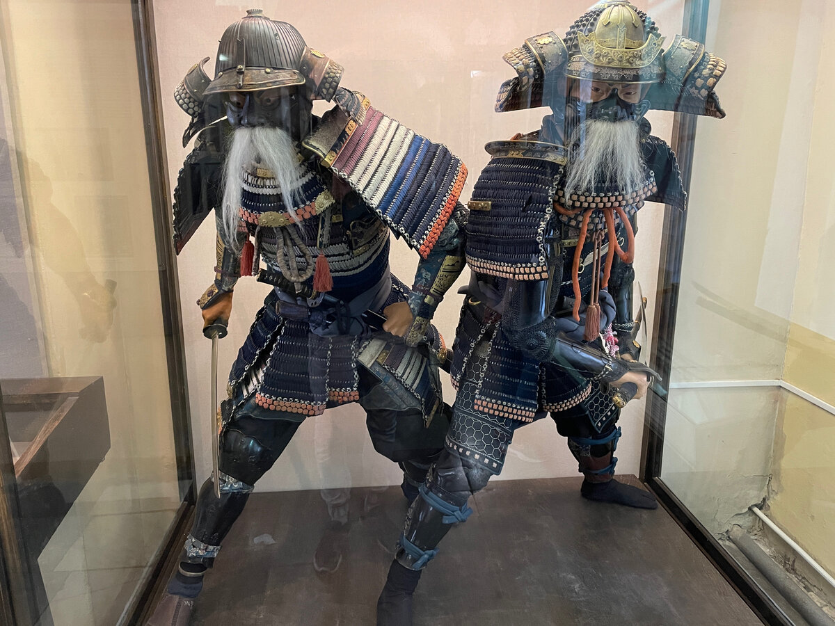 Сходил в знаменитую Кунсткамеру в Петербурге и разочаровался. Делюсь ...