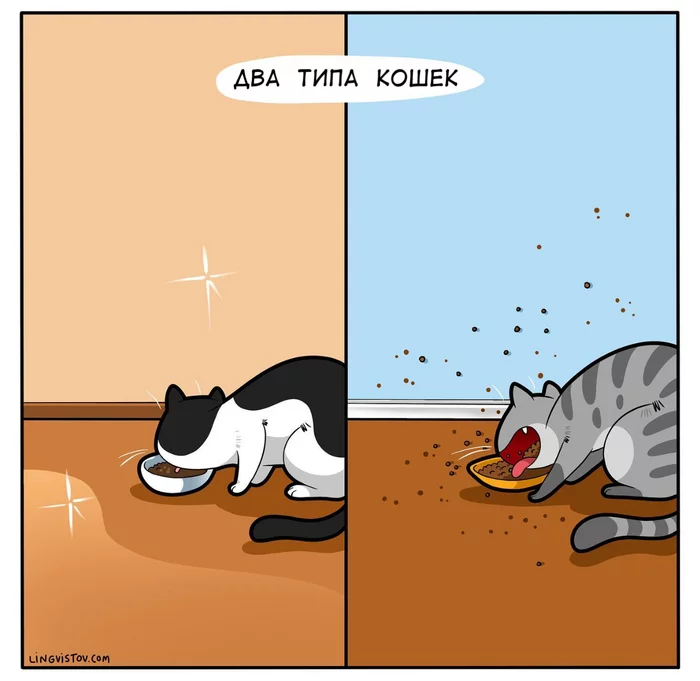 Художница из Татарстана рисует смешные комиксы про кошек Мир комиксов Дзен