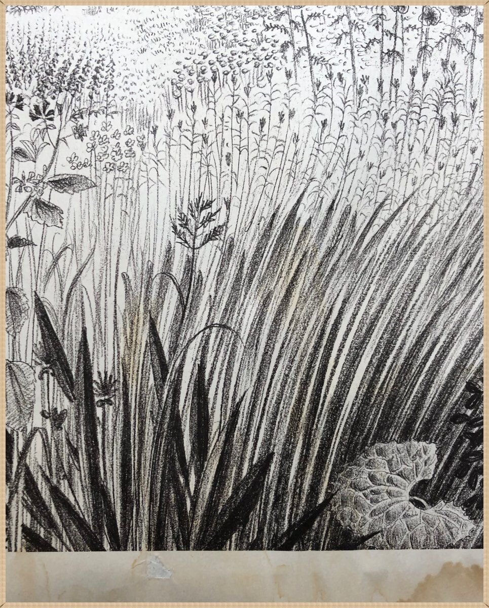 ПУТЕШЕСТВИЯ В ПРОВАЛАХ ПАМЯТИ И ДЕБРЯХ СНОВИДЕНИЙ. ШВЕЙЦАРСКИЙ ХУДОЖНИК ...