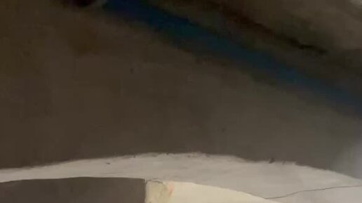 Мы в пути | Частный дом никогда не даст скучать😂У нас поселилось ...