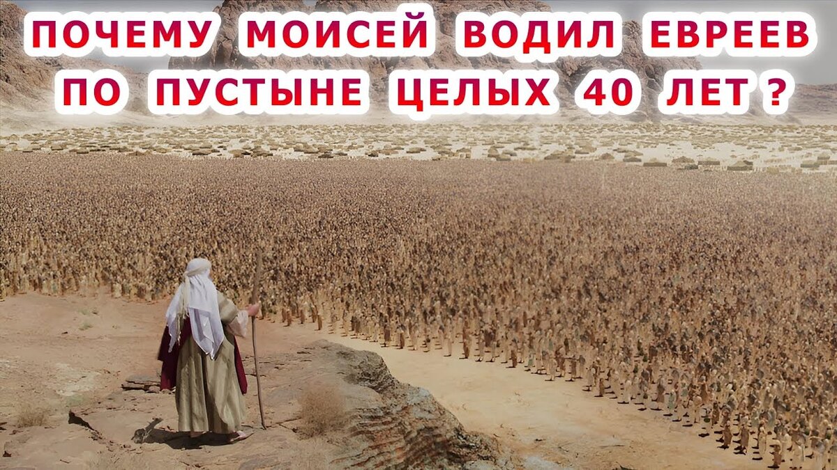 Пеший тур по пустыне: первые 40 лет — бесплатно | ТыжИсторик | Дзен