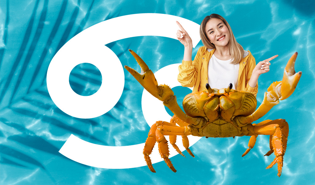 Английский для знаков зодиака: какие слова нужно знать | Skyeng: английский для взрослых | Дзен