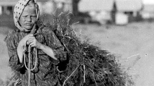diletant.media | Жизнь Заволжских крестьян, 1890-е годы. #крестьяне # ...
