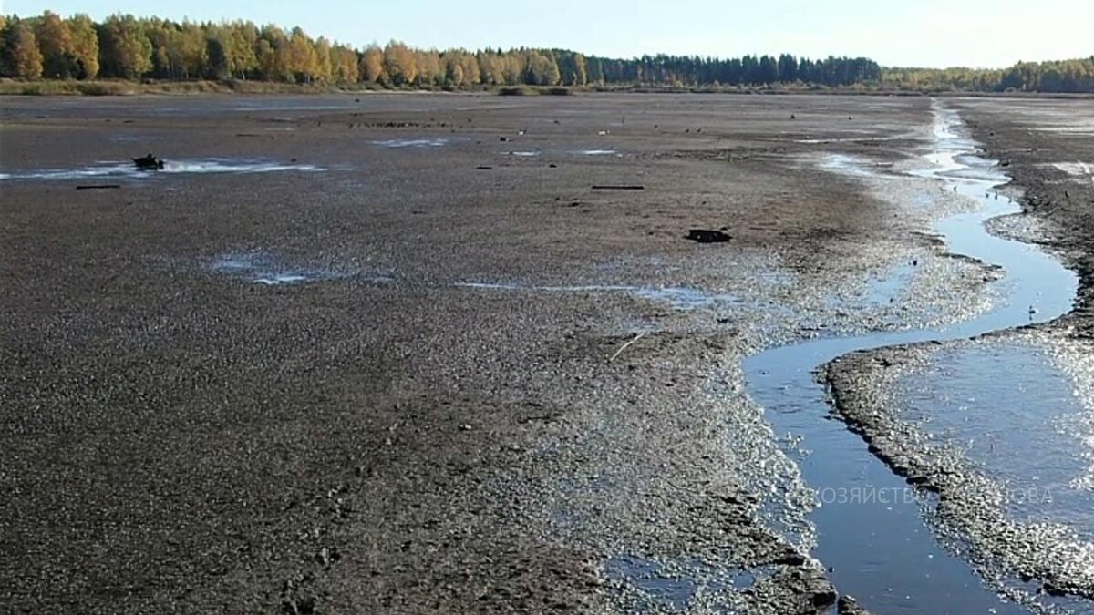 Открылась тайна спущенного пруда. Дно как на ладони. Летаю над прудом ...