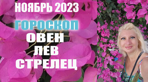 Гороскоп ОВЕН ЛЕВ СТРЕЛЕЦ ноябрь 2023 Прогноз Светлана ВЕДА Светлана