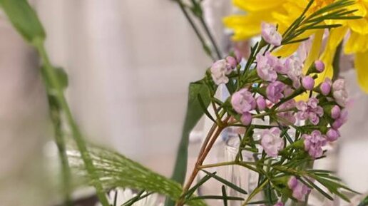 Александр Поляшов | Хочешь узнать больше об эко-флористике? Переходи по ссылке - https ...