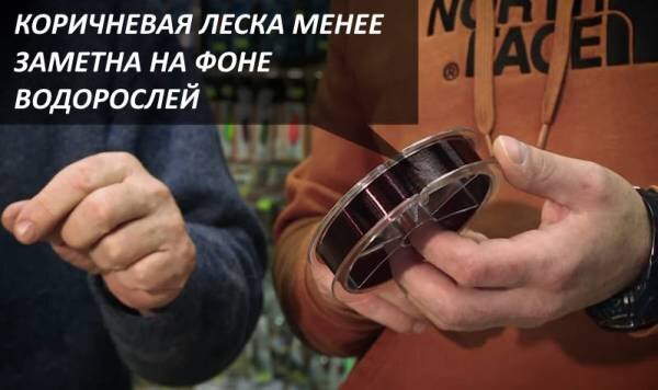 9 необычных секретов успешной ловли линя. | Снасти Рыбака | Дзен