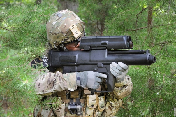 Как потратить кучу денег, ничего не получить и ничего не понять | Cat ...