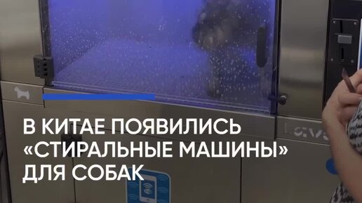 PostNews | В Шанхае появились мойки самообслуживания для домашних ...