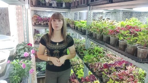 Открываю прием заказов на весну 2024г. Продажа вегетативных растений ...