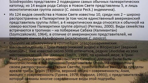 COLEOPTERA Catopidae | Sergey Pushkin - биология для всех | Дзен