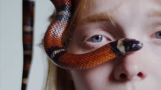 Локтева_психолог | День 1 из 20. https://vk.com/lokteva_psyholog | Дзен