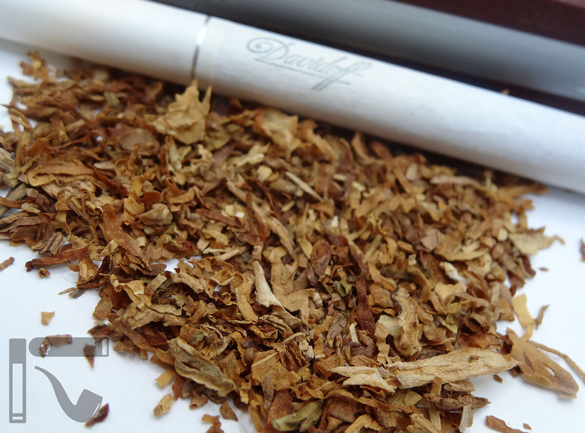 Davidoff Magnum: легенда 90-х, которую можно купить и сейчас! | Уголок ...