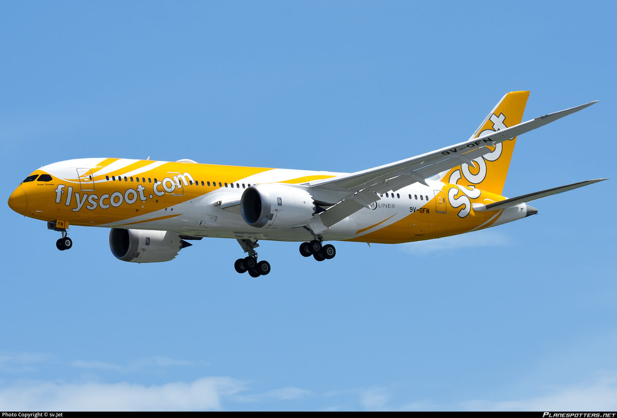 Поставки воздушных судов в ноябре 2023 года | Советы мечтателям | Дзен