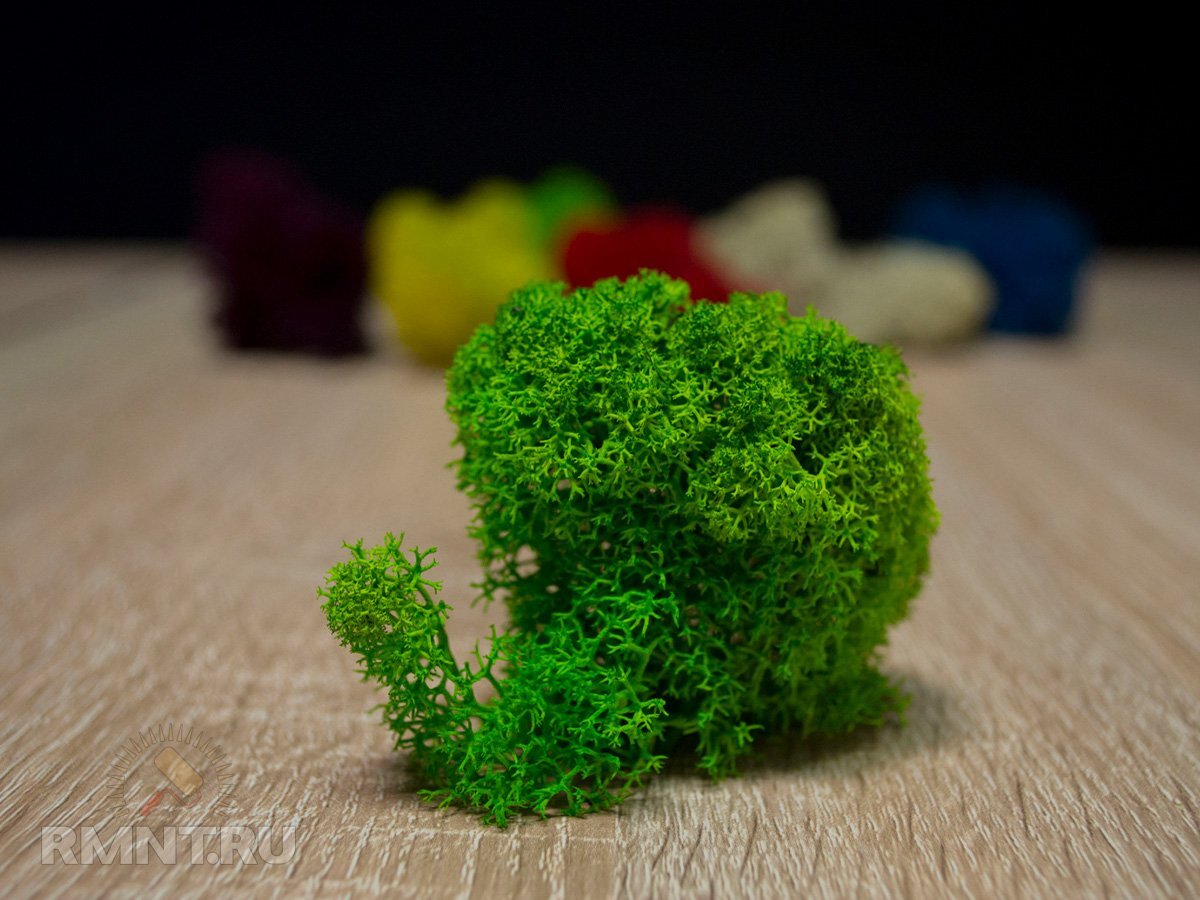 Как стабилизировать мох в домашних условиях | Строительный портал RMNT ...