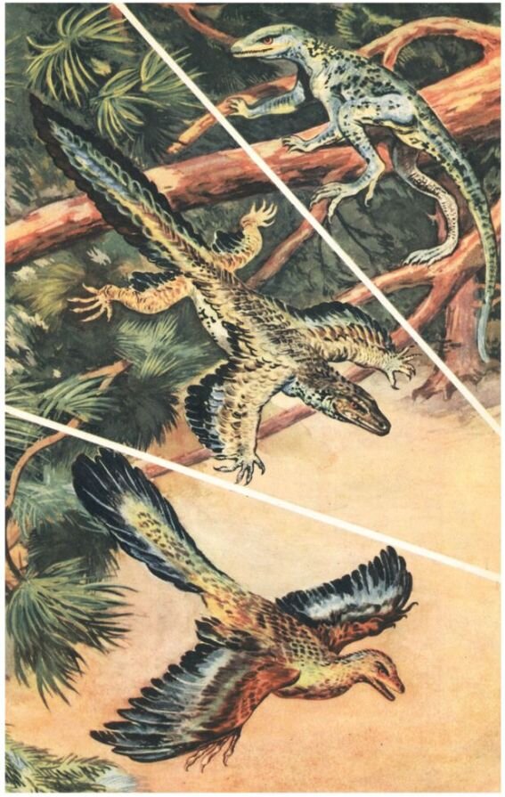 Загадка природы: почему она научила летать только птиц, а не динозавров ...