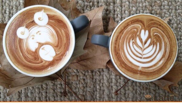 Make A Perfect Latte Art Patterns With Skim Milk? | Latte coffee | Дзен