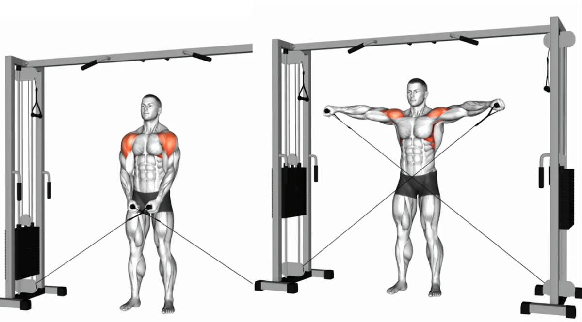 9 лучших упражнений на плечи для мужчин сделайте плечи большими и округлыми Томаш Игорь Pro