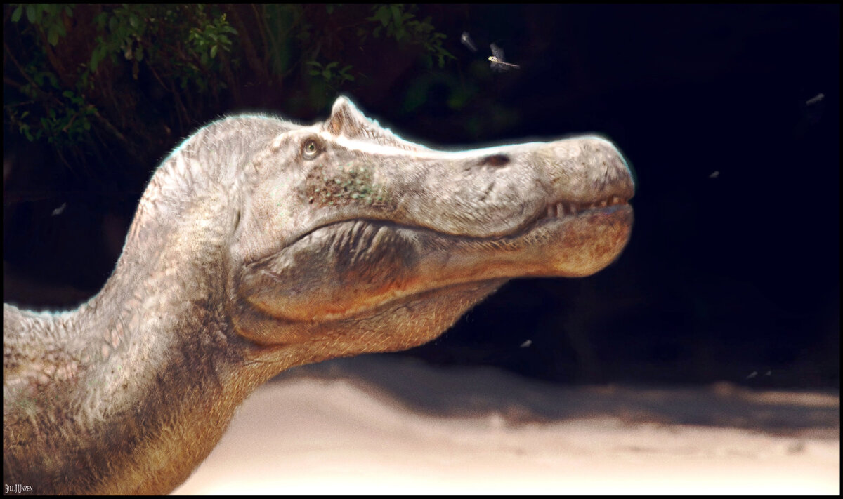 Барионикс (Baryonyx walkeri) | Paleo-end-arthropods (Доисторическая ...