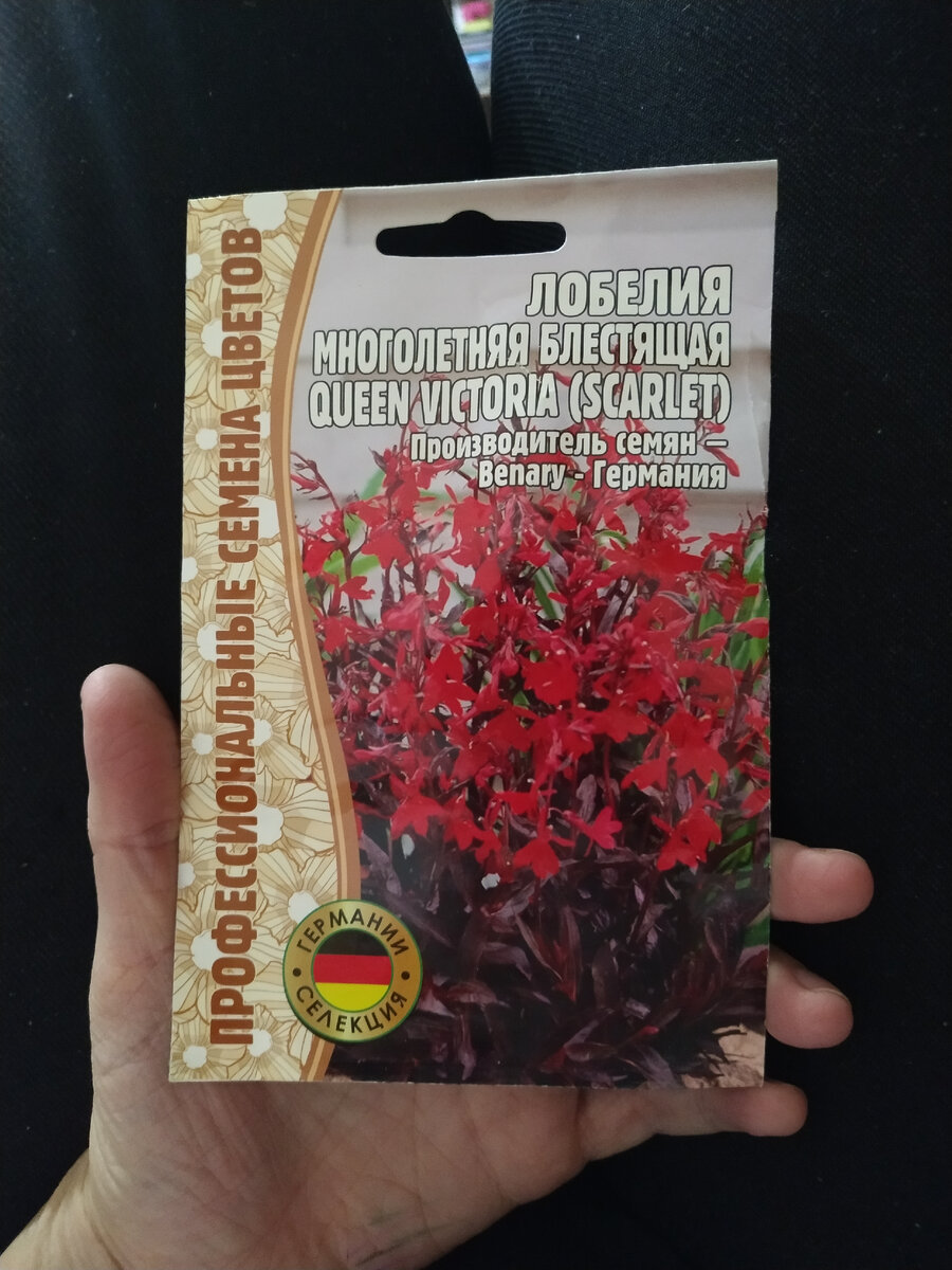 Супер-красивые и редкие многолетники, которые буду сеять в этом году ...