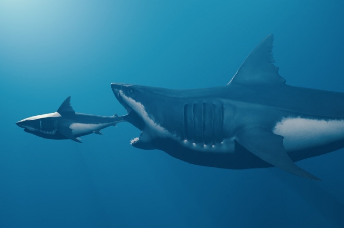 Супермонстр океана. Учёные выяснили, как выглядела знаменитая древняя ...