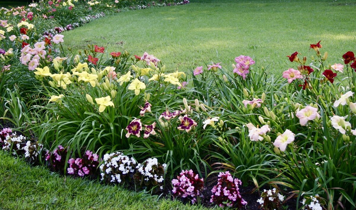 ЦВЕТНИКИ. ОТЛИЧИЯ. Попробуем разобраться. КЛУМБА / РАБАТКА / РОЗАРИЙ ...