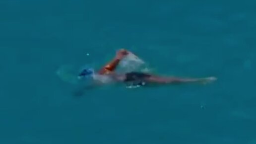 Школа плавания Swimrocket Минутка мотивации Дзен